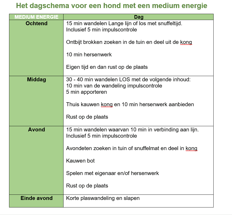 Een dagschema - eengelukkigehond